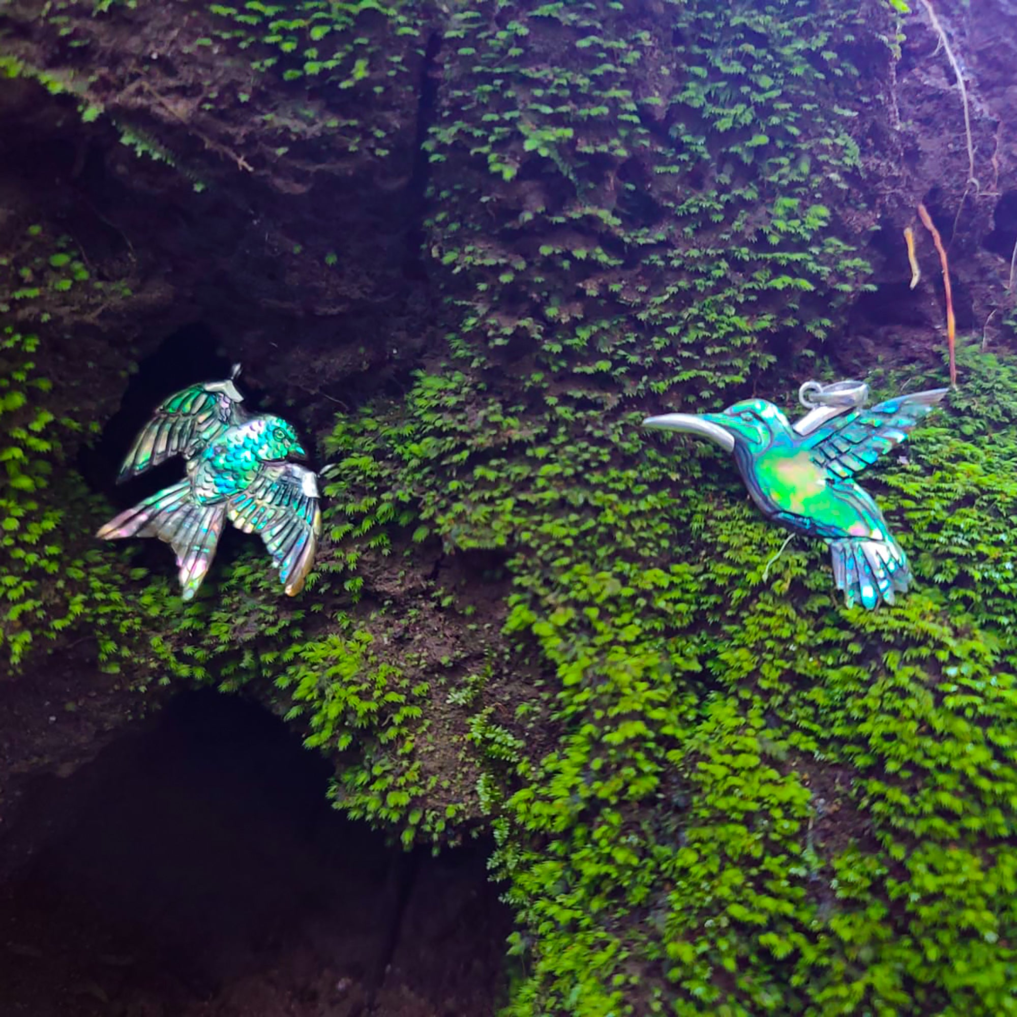 Abalone Birds – FeatherTribe